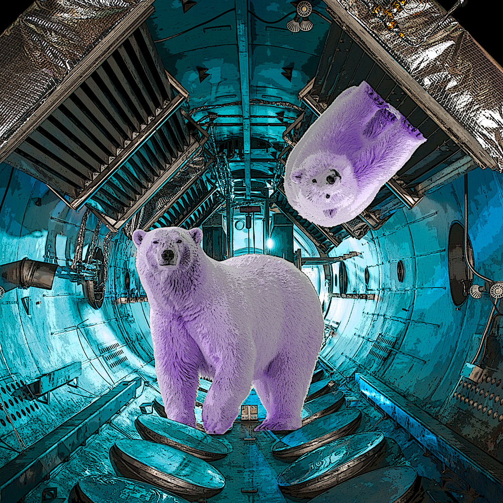 two-pet-polar-bears-in-space-shuttle – The Martian Muckraker